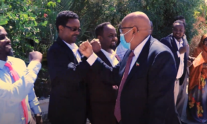 Somaliland: Wadani party chairperson returns home | Somaliland Standard