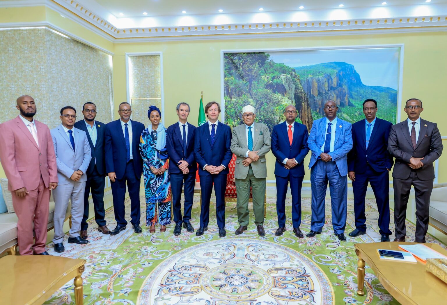 Somaliland President Meets with Pharo Foundation Top officials ...