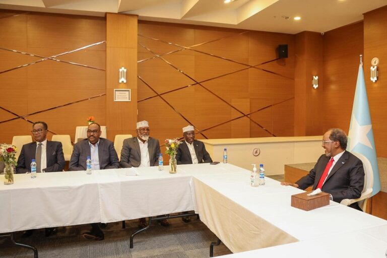 The meeting between the Somali Federal Government and the Somali Future ...